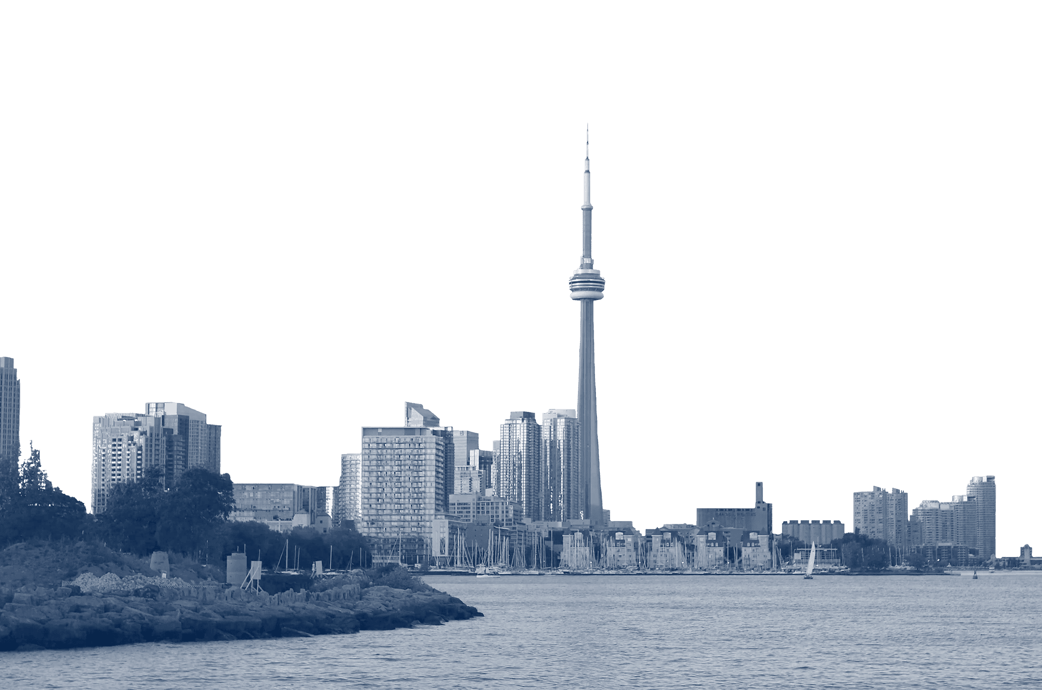 Consumer First Media Agency | Jungle Media | Jungle Media